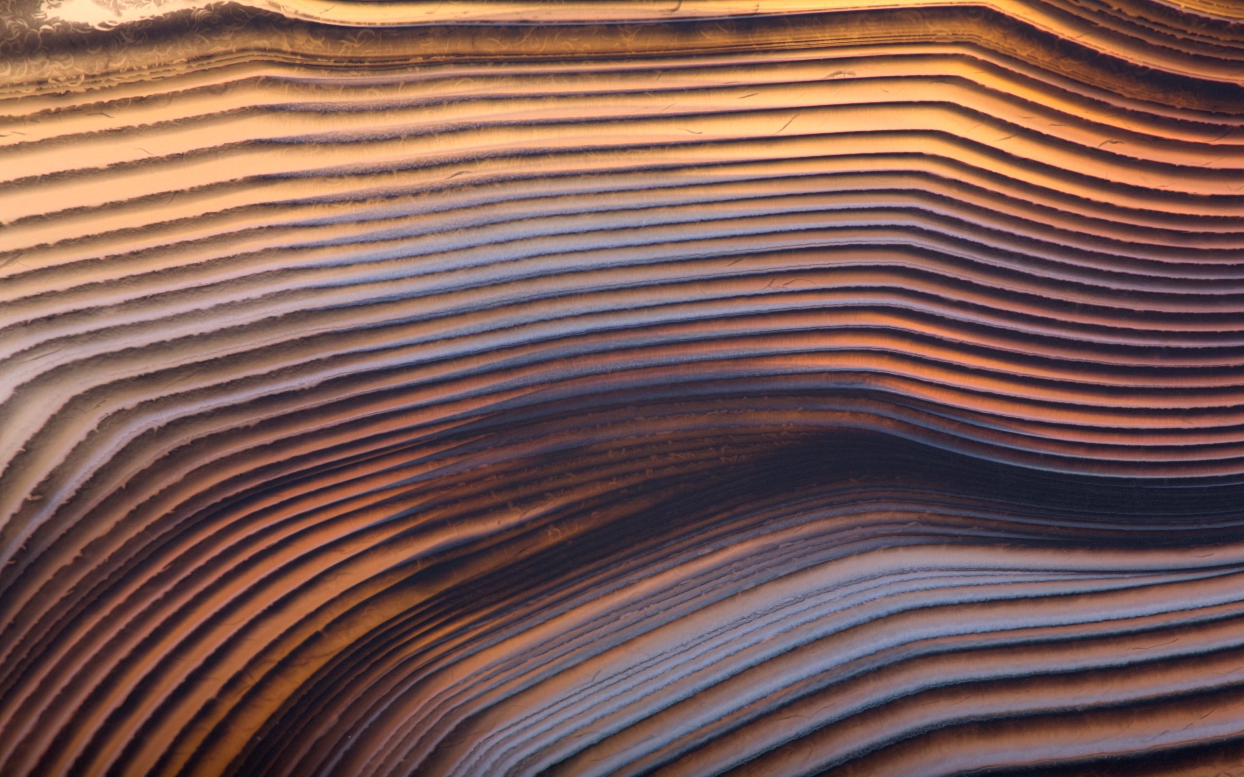 Financial Institutions - Wotton Kearney