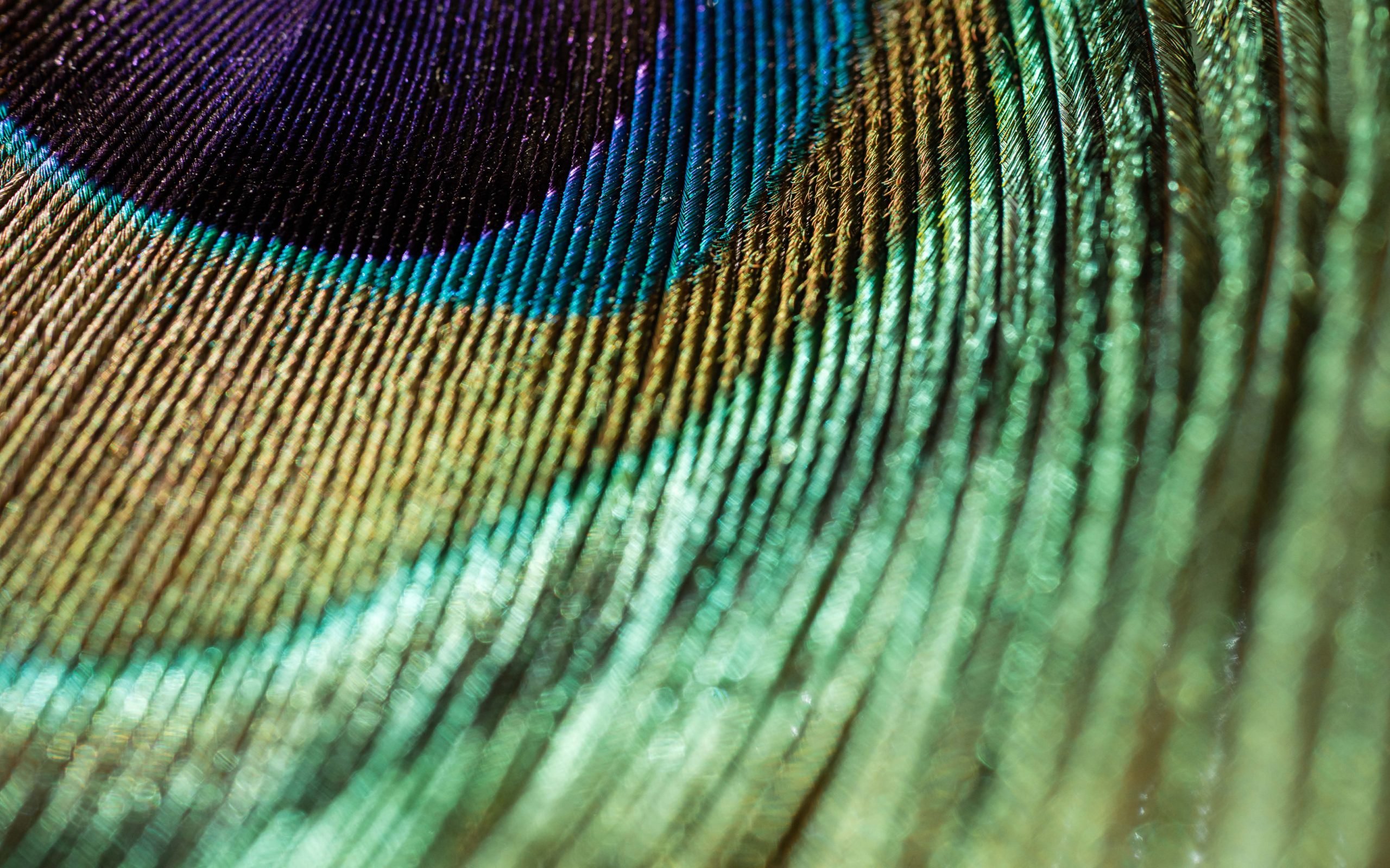 Jury rolled in Lawyer X trial: Victorian Supreme Court provides a ...