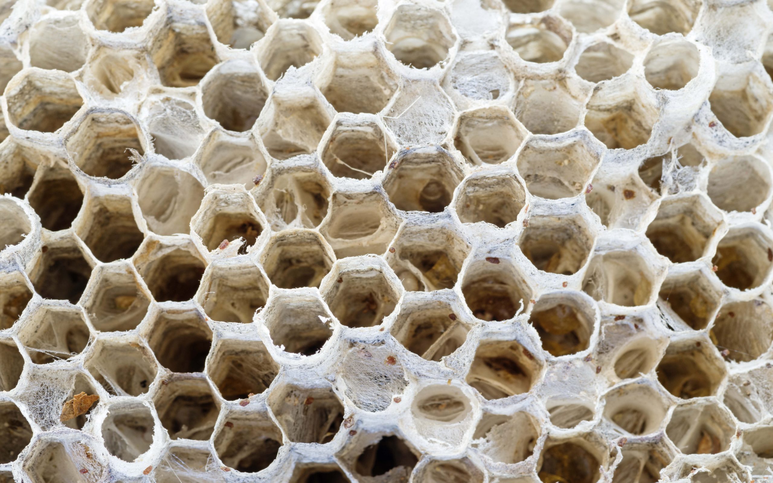 Tort of privacy recognised in Australia - Wotton Kearney