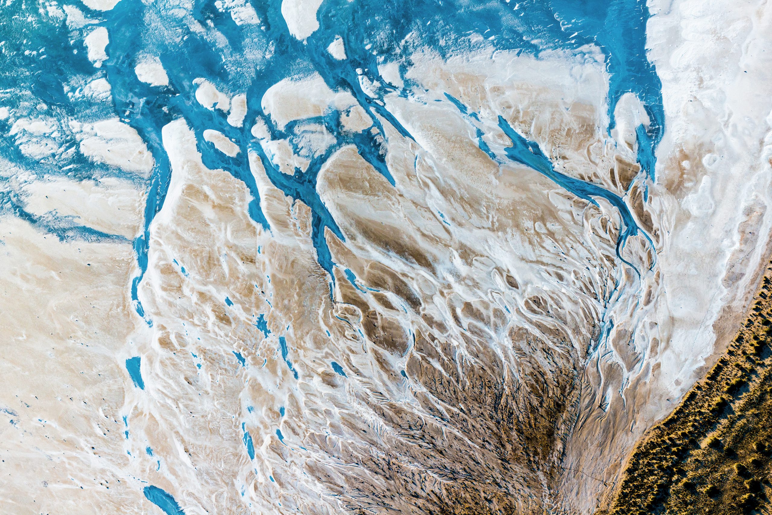 CPS 230 Operational Risk Management: Industry Survey 2025 - Wotton Kearney